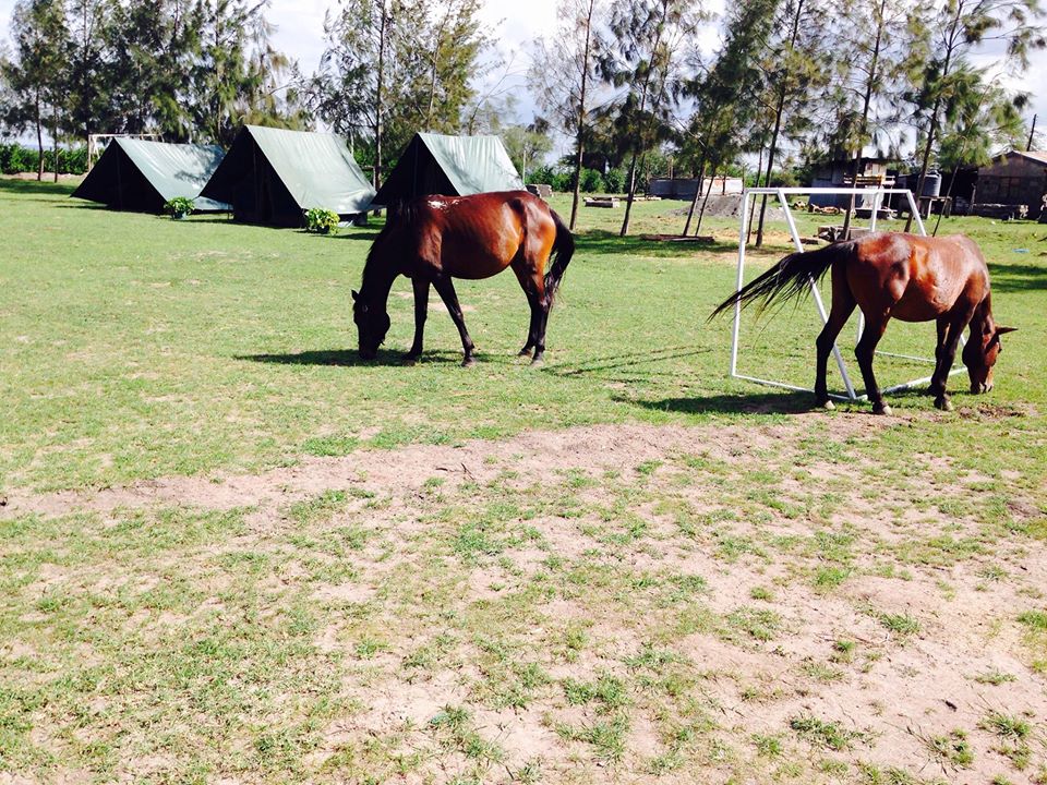 Inside Uncle Fred Obachi Machoka's Exclusive Ranch [PHOTOS] - Kenyans.co.ke