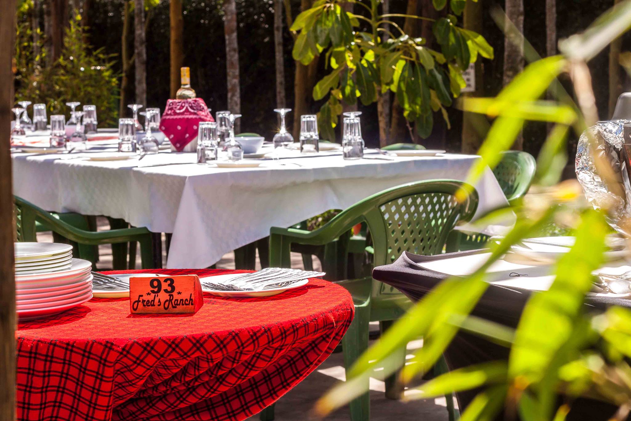 Inside Uncle Fred Obachi Machoka's Exclusive Ranch [PHOTOS] - Kenyans.co.ke