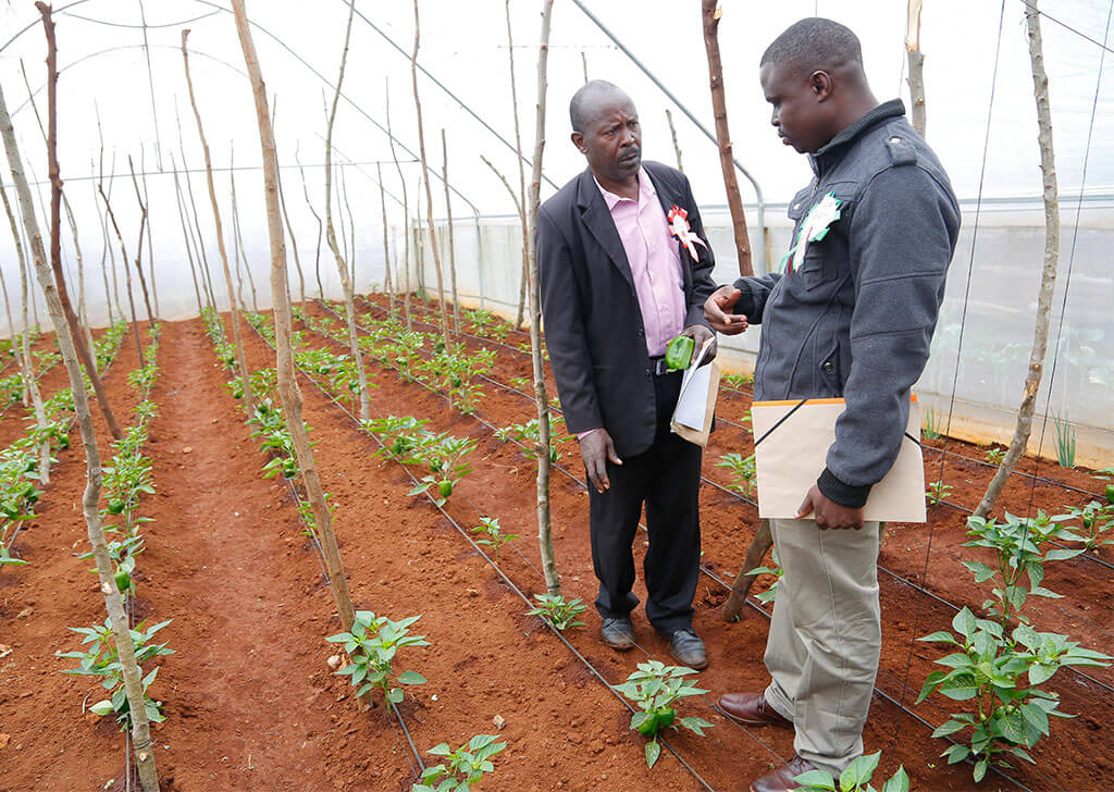Wezesha Inside Safaricom s Bold Plan To Empower Kenyan Youth Kenyans wezesha-inside-safaricom-s-bold-plan-to-empower-kenyan-youth-kenyans