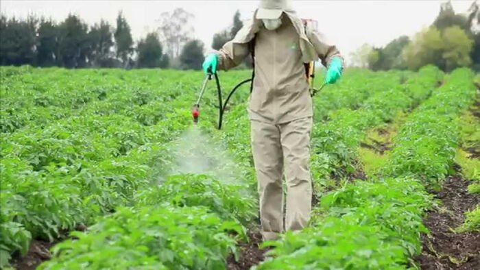 US Court Awards Man Ksh 11.4 Billion Over Popular Herbicide Roundup ...
