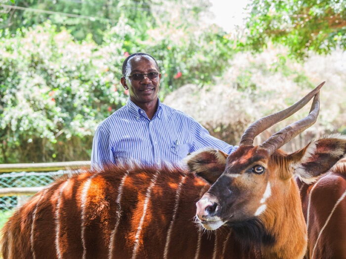 DCI Director George Kinoti Summons Billionaire Humphrey Kariuki ...