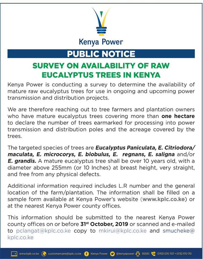 Kenya Power Offers Kenyans Chance to Make Millions - Kenyans.co.ke