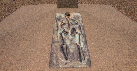 Google Honours Turkana Boy Found 37 Years Ago - Kenyans.co.ke