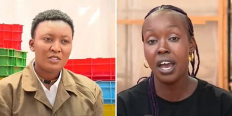 Inside Lucrative Black Soldier Fly Farming in Kenya - Kenyans.co.ke