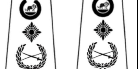 13 Badges Kenya Police Wear & Their Meanings [PHOTOS] - Kenyans.co.ke