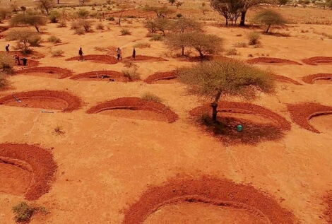 How Maasai Farmers Transformed Desert With Smart Technique [PHOTOS ...