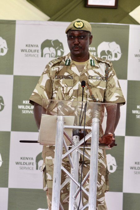 Ex-Military KWS Boss Sent on Compulsory Leave - Kenyans.co.ke