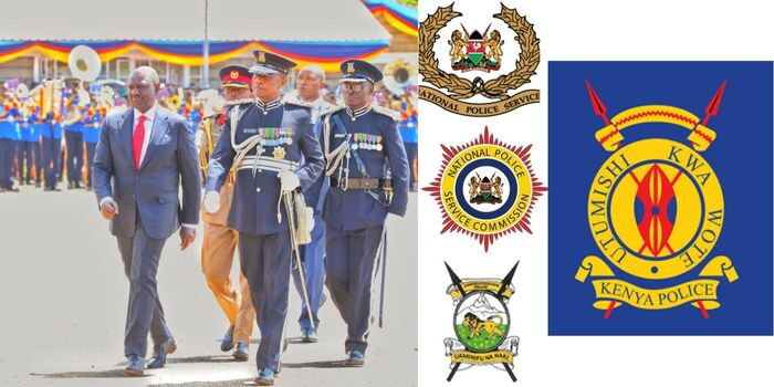 Difference Between AP, GSU & Other Police Ranks in Kenya - Kenyans.co.ke