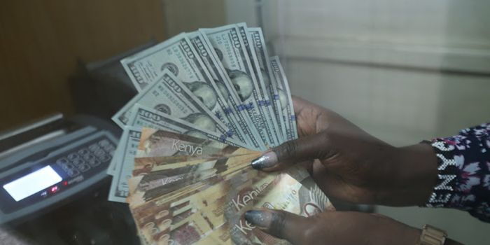 Mixed Reactions After Nairobi Food Vendor Starts Charging in Dollars ... Mixed Reactions After Nairobi Food Vendor Starts Charging in Dollars ...