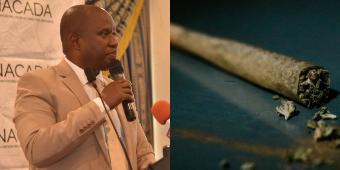NACADA Calls For Action Over High Bhang Usage in Mt. Kenya Schools ...