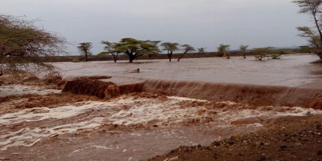 River Yala Breaks Its Banks - Kenyans.co.ke