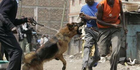 Why there are Fears Mungiki Could be Back - Kenyans.co.ke